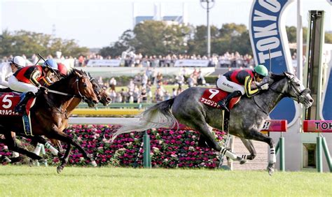 【毎日王冠】アエロリット圧逃v 導いたモレイラ「間違いなくまたg1を勝てる」 競馬ニュース Netkeiba