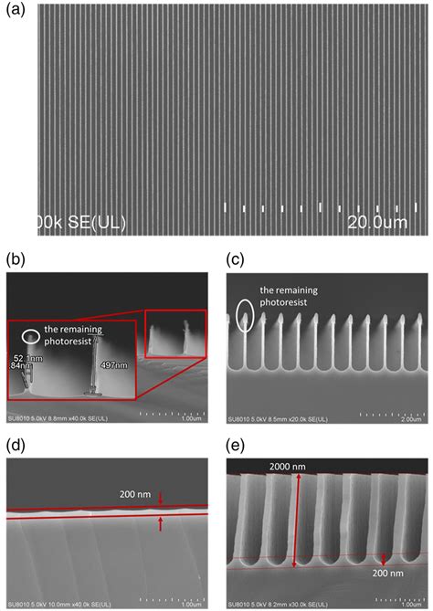A Part View Scanning Electron Microscopy Sem Image Of The
