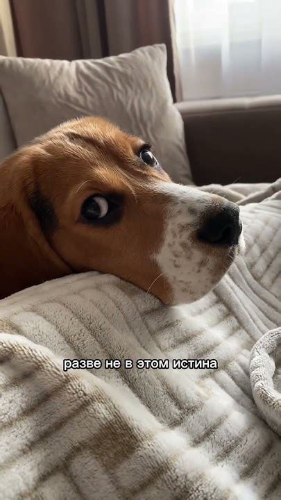 про смысл жизни Youtube