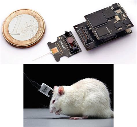 Picture Of The Packaged Active Neural Probe And The Custom Designed Download Scientific Diagram