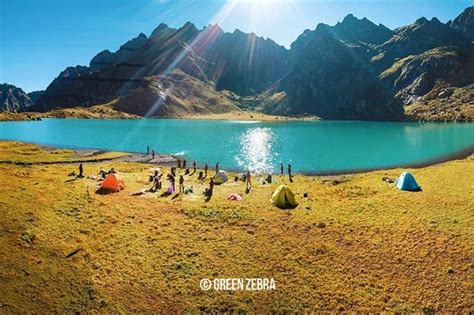 სვანეთი Green Zebra