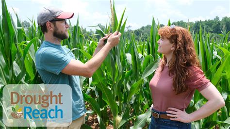 Citizen Science Through The Alabama Drought Reach Program Awwareness