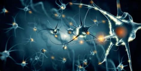 Novo Medicamento Contra Alzheimer Anima Comunidade Científica
