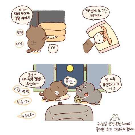 「마무리는 따끈한 바닥에 캐릭터 베개 」난🐱の漫画