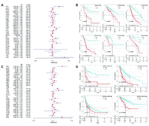 Forest Plot And Kaplan Meier Curves Of The Relationship Between HOXC4