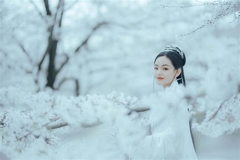 아트 그림 2022 12 06 벚꽃 날리는 눈 Mu Jie V2PH