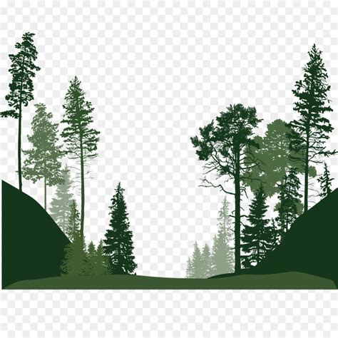 Background Hutan Vector 57 Koleksi Gambar