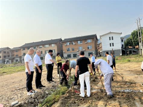 谷城堰河村围绕五共抓五聚 共造幸福家园 湖北日报新闻客户端