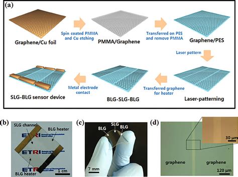 A Schematic Diagram Of Fabrication For The All Graphene Sensor On A Download Scientific