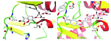 Binding Modes Of Compounds 73 A And 2 B With Ck2 Indicated From