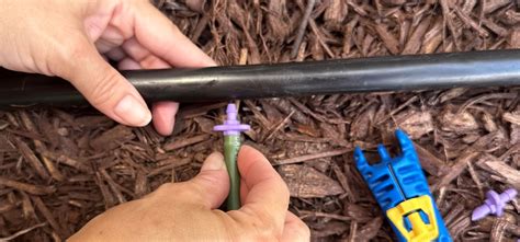 Mister Landscaper Drip Irrigation And Micro Spray Drip Irrigation And Micro Spray 10 15 Gph