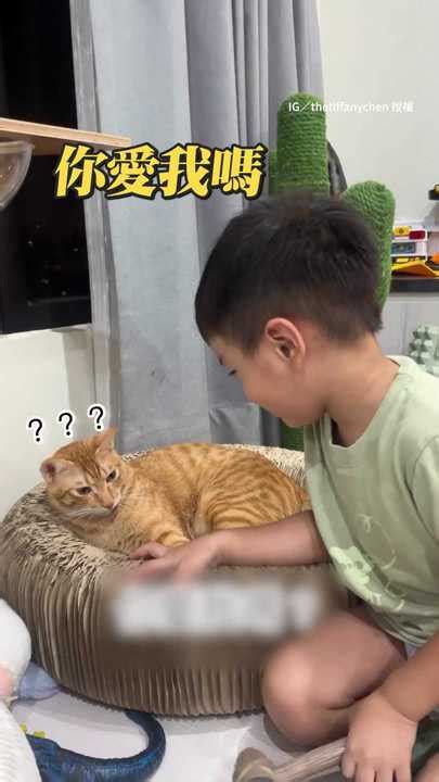 【窒息的愛】萌弟狂問貓：你愛我嗎♥ 播吧boba Ettoday新聞雲