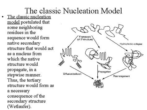 Protein Stability Protein Folding Protein Stability Protein Stability