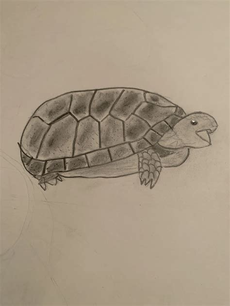 A Beginner Artist Trying To Get Better Scrolller