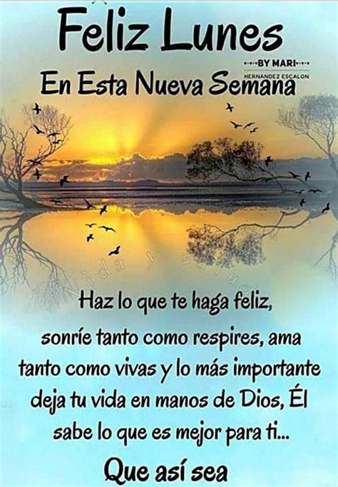 Lunes Imagenes de feliz lunes Frases de buenos días Feliz lunes