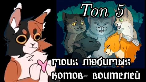 Топ 5 моих любимых котов воителей Youtube