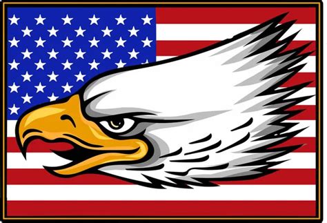 American Bald Eagle — Stock Vector © Magagraphics 46085361