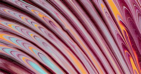 분홍색과 주황색 꽃의 클로즈업 보기 사진 Unsplash의 핑크 질감 이미지