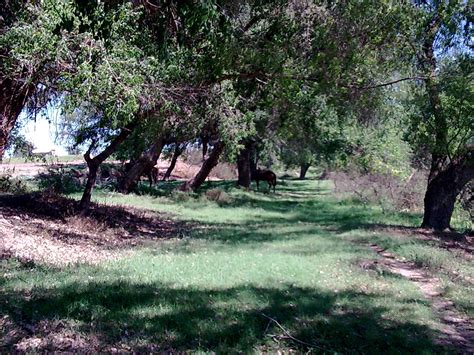 Fotos De Guasave Caimanero Guasave Sinaloa