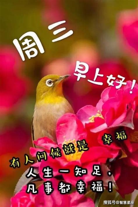 6月30日周三夏季最美早安问候语，最新漂亮早上好表情动态图祝福语大全2021束清晨