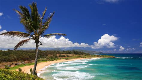 Hawaiian Language Basics And Common Words Yourdictionary