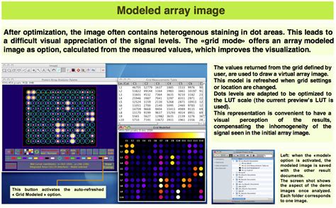 Imagej User And Developer Conference 2010 Gilles Carpentier Research Web Site Computer Image