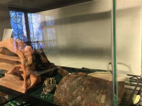 Cage Adjustments Rleopardgeckos