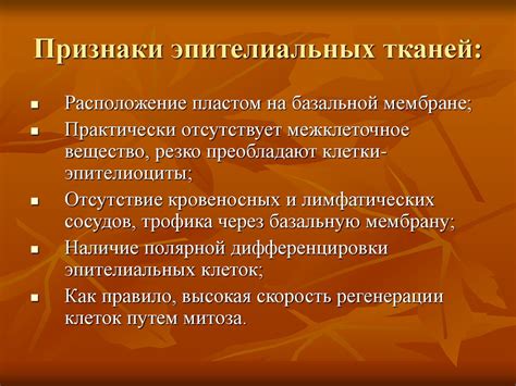Учение о тканях Эпителиальные ткани презентация онлайн