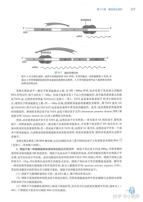 生化课本带读 第十六章 基因表达调控 知乎