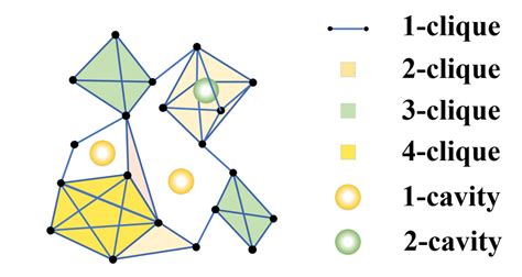 A Complex Network With Some Cliques And High Order Cavities Download Scientific Diagram