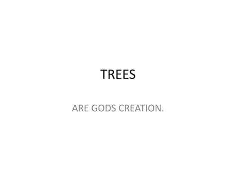 Presentation About Trees PPT