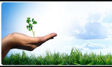 Sustainability Reporting Services In Chennai Id 14640216630