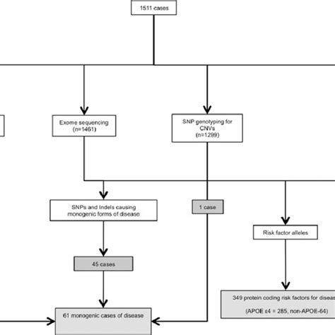 Summary Of The Molecular Genetic Approach And The Data Passing Quality