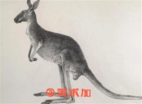 素描培训学校哪家比较靠谱？ 哔哩哔哩