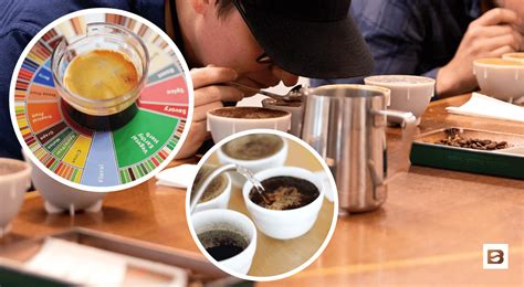 Embarking On Coffee Cupping A Beginners Handbook • Bean Ground