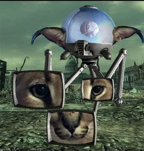 Lobotomite Falloutnewvegas