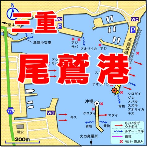 Fish Maps