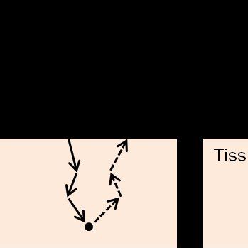 A Diagram Illustrating The Interaction Of Light Signified By The Download Scientific