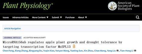 中国农业大学园艺学院 学术动态 园艺学院李天红课题组揭示新疆野苹果mir156ab Msspl13模块介导苹果发育及干旱胁迫应答的分子机制