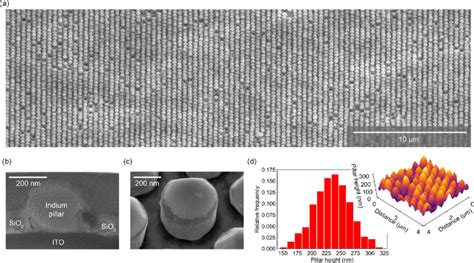 Morphological Characterization Of The Electrochemically Grown Indium