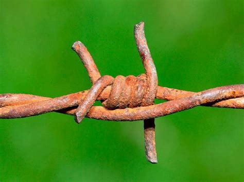 Barbed Wire The Most Transformative Invention In Us History