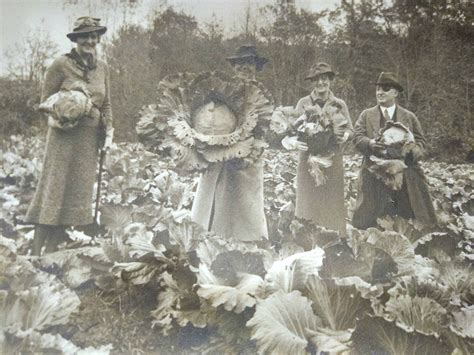 Missy Makes Me Laugh Man With An Eye Patch Standing In A Cabbage Patch