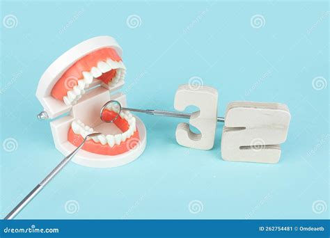 False Teeth With Number Thirty Two And Dentist Tools Artificial Jaw On
