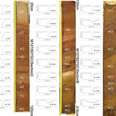 Hull Quotient Swir Reflectance Spectra Of Selected Samples From The