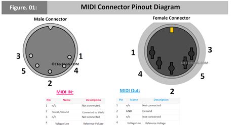 Midi Connector Pinout Diagram In Out Male Female Etechnog
