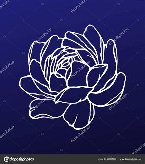 Peony Silhouette