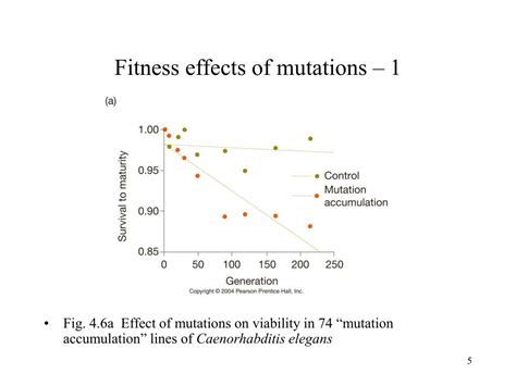 Ppt Mutation And Genetic Variation Powerpoint Presentation Free Download Id1466597