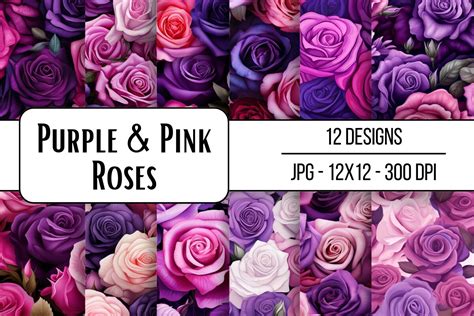 Purple And Pink Roses Graphic By Juniper Moon · Creative Fabrica