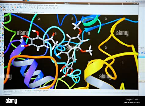 Docking 3d Computational Model To Simulate The Molecular Dynamics Of Proteins To Develop New