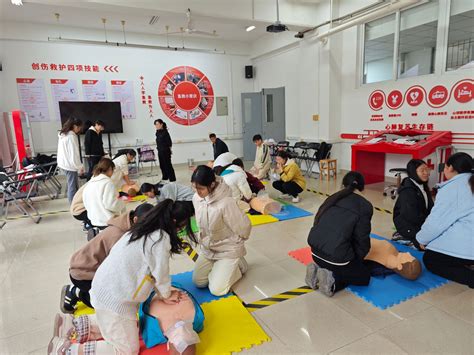 学校红十字会开展第四期红十字救护员培训 西南医科大学 人体科学馆科普基地